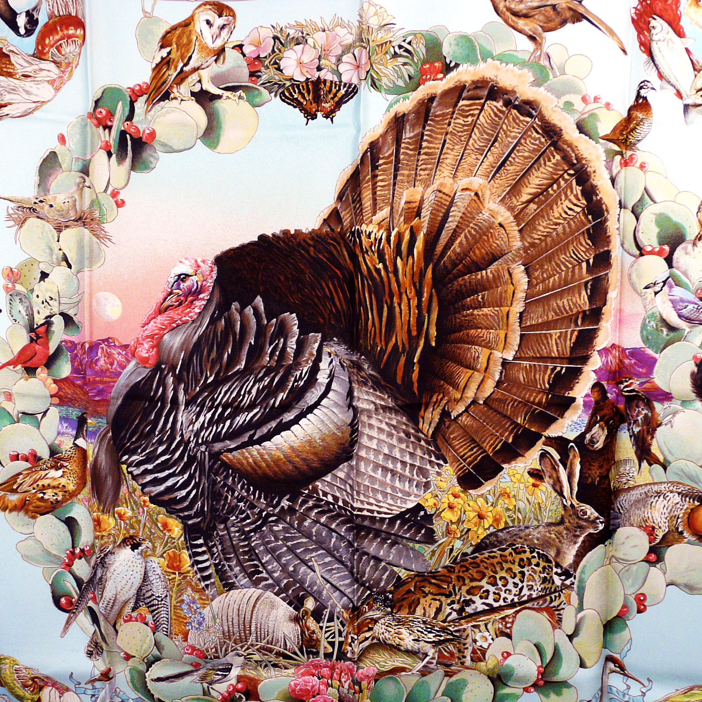 Faune et Flore Du Texas – Texas Wildlife HERMES Close up of Turkey ...